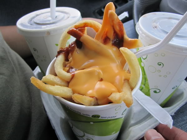 Wendy's Chili Cheese Fries - Darkshade Forum